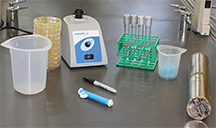 BIOC 318 Spreading plates