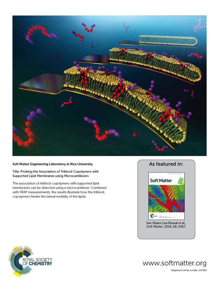 Biswal Lab Publications